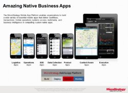 Microstrategy - Business Intelligence - DemosDeSoftware.com